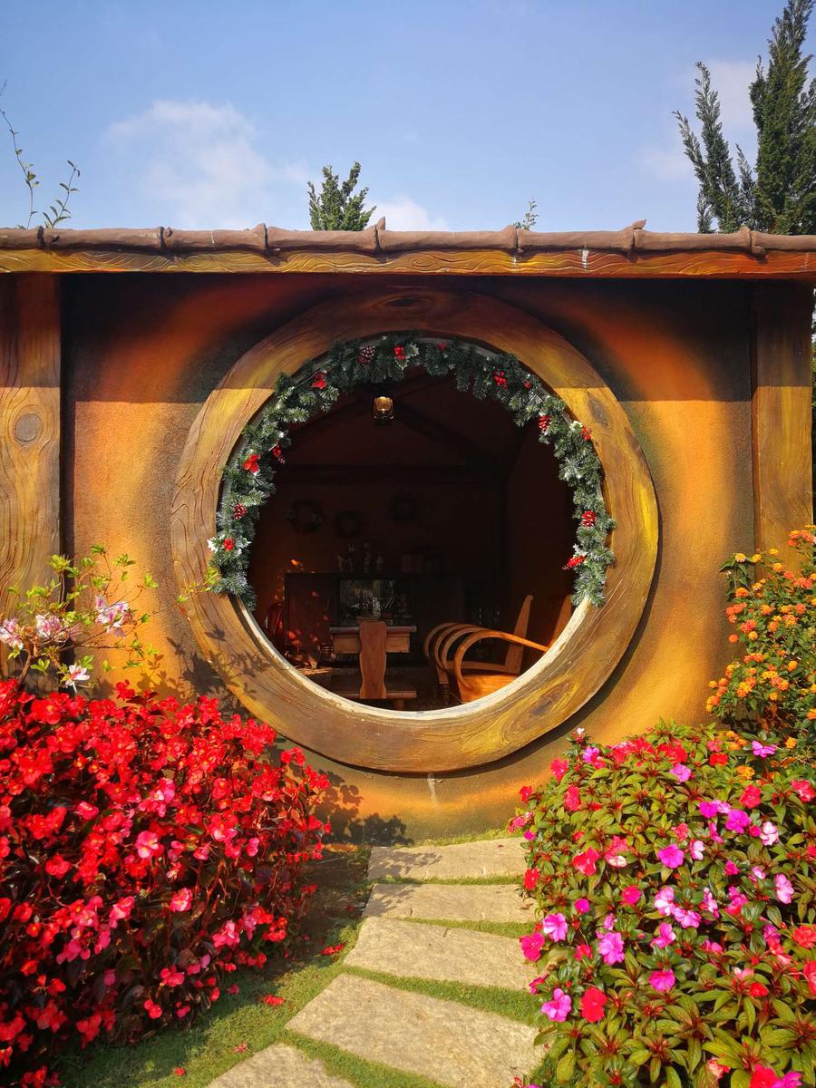 Red Atiso Flower | Best Flower Site